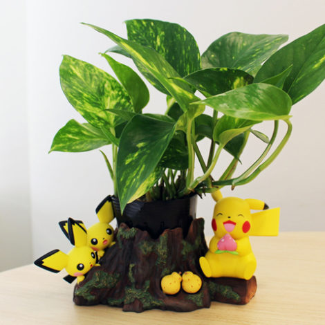 Here’s More Photos Of The Pikachu Watering Can And Planter – NintendoSoup