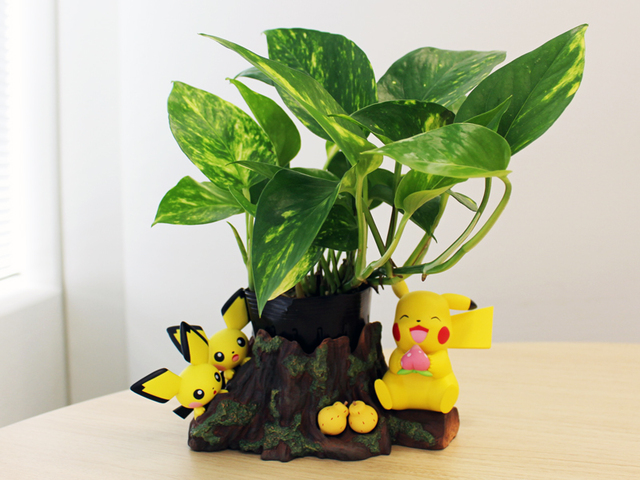 pokemon-garden-can-and-planter-photo-7 – NintendoSoup