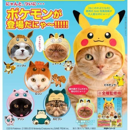 You Can Soon Dress Up Your Cat As Pokemon – NintendoSoup