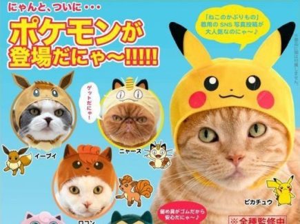 You Can Soon Dress Up Your Cat As Pokemon – NintendoSoup