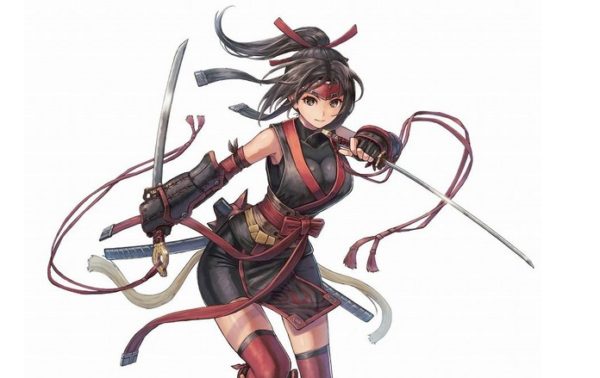 Dual Blade ～Battle Of The Female Ninja～ Delayed On Switch – NintendoSoup