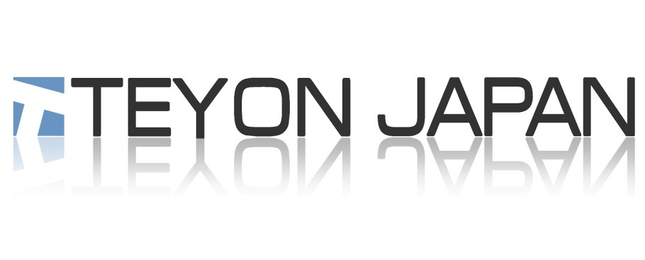 Teyon Japan Working On More Switch Games – NintendoSoup