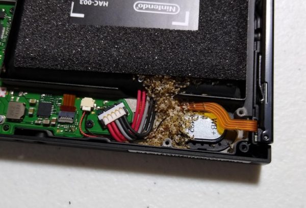 An Army Of Ants Set Up A Nest Inside Nintendo Switch – NintendoSoup