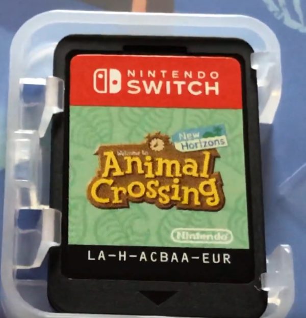 Animal Crossing: New Horizons Street Date Broken, First Look At Inner ...