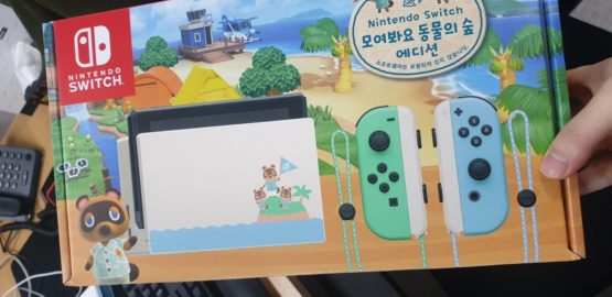 First Photo Of Nintendo Switch Animal Crossing: New Horizons Set ...