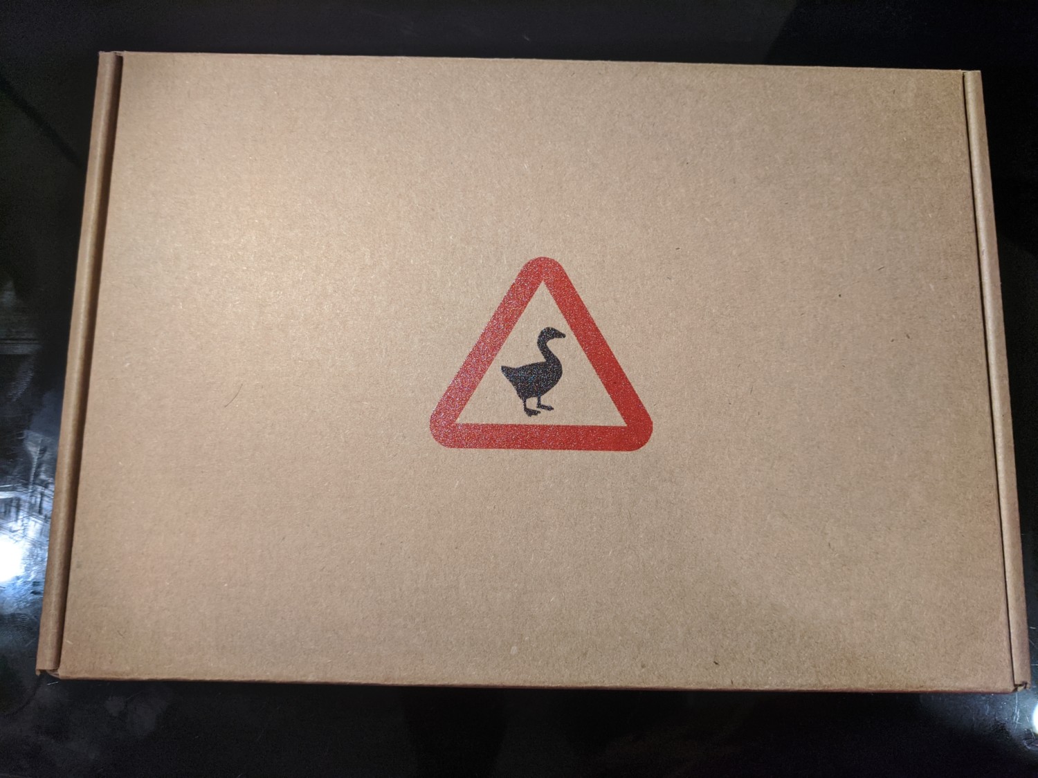 Checking Out The Untitled Goose Game Physical Edition for Switch ...