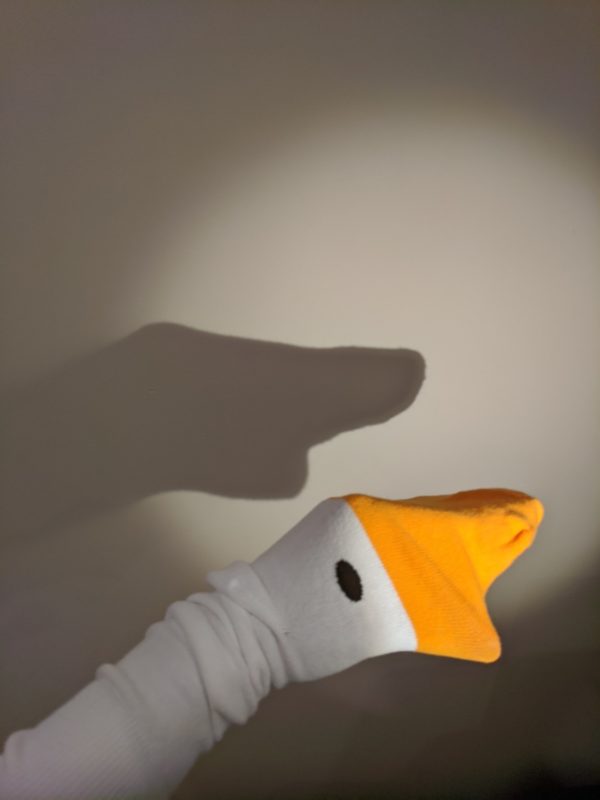 Checking Out The Untitled Goose Game Physical Edition for Switch ...