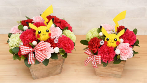 PikachuFlower – NintendoSoup