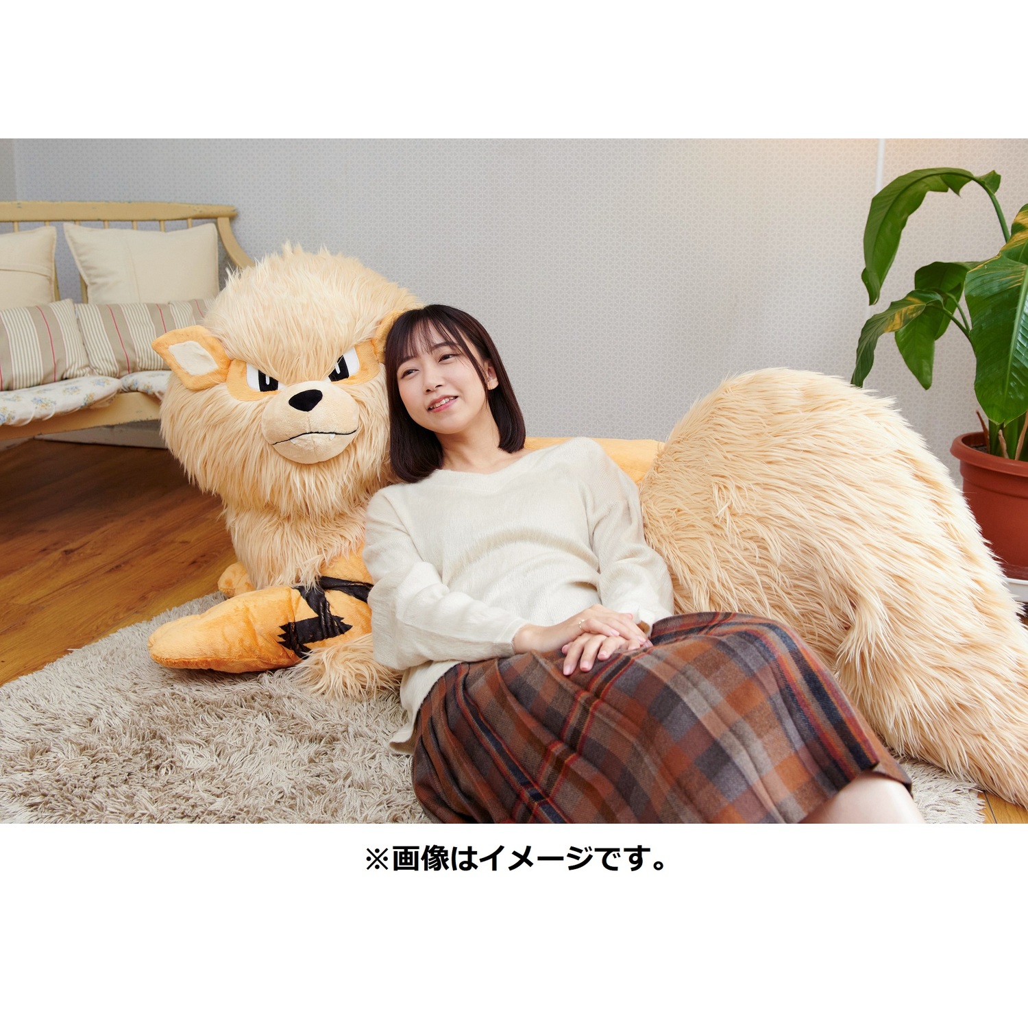 4521329371870_11_L – NintendoSoup