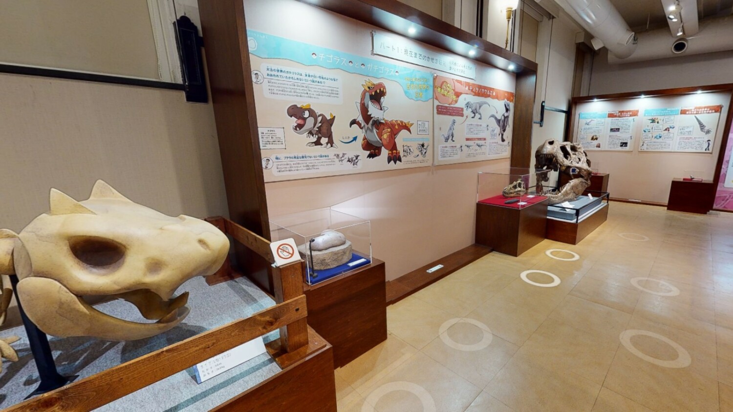 Pokemon Fossil Museum Virtual Tour Now Available – NintendoSoup